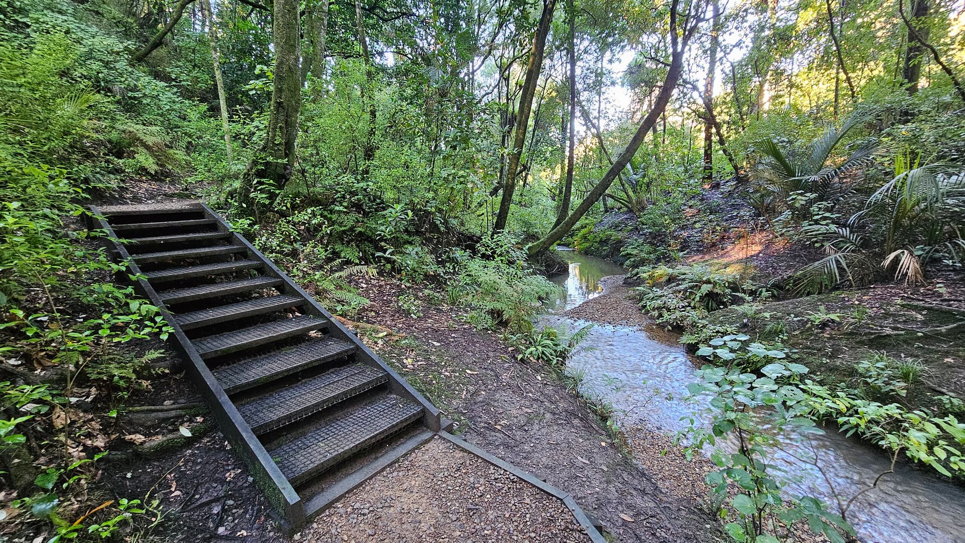 Kowhai Park Loop Walk - Freewalks.nz
