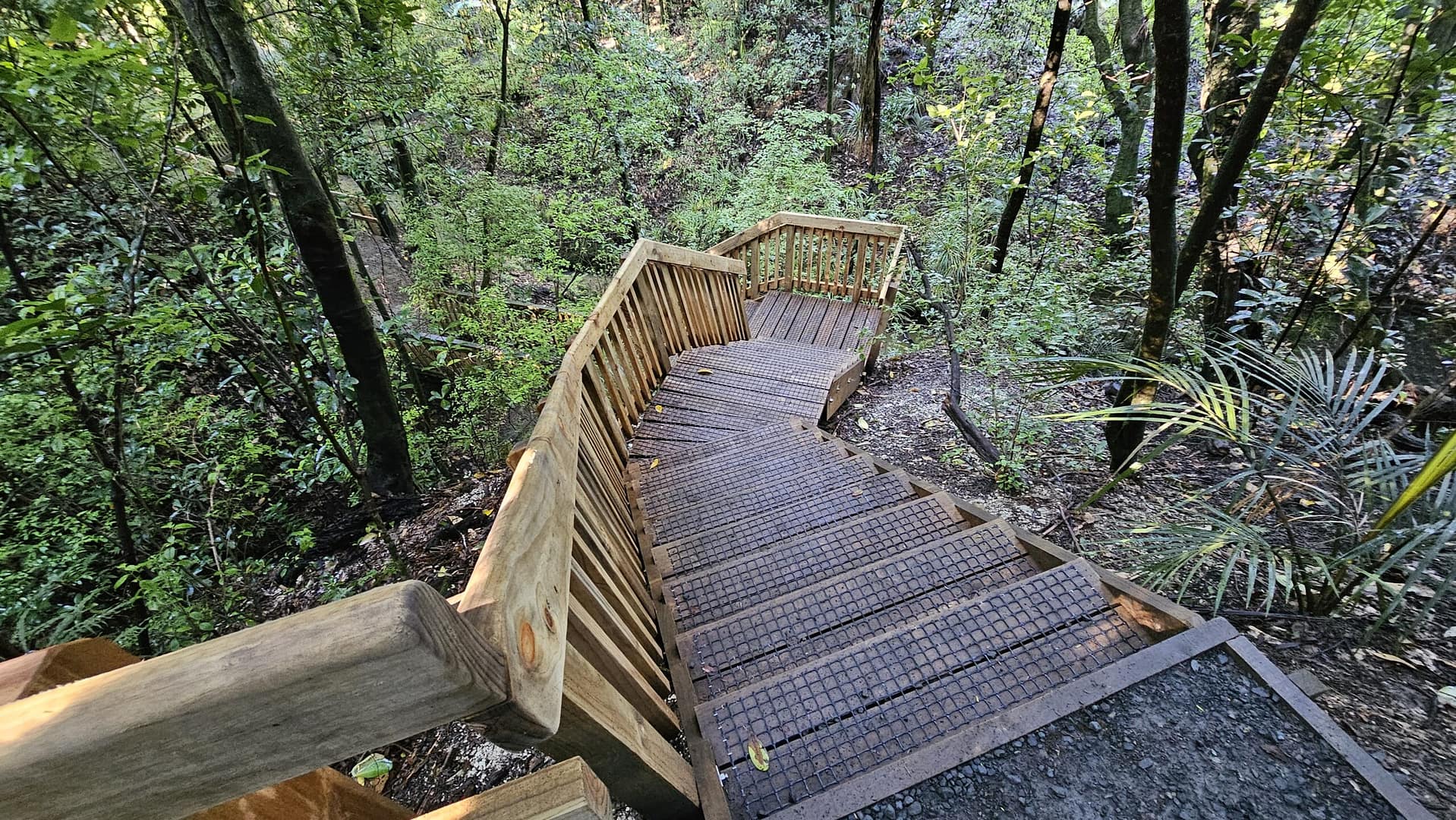 Kowhai Park Loop Walk - Freewalks.nz