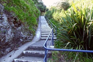 Kohi Point Walk is a free walk in Whakatane | Freewalks.nz